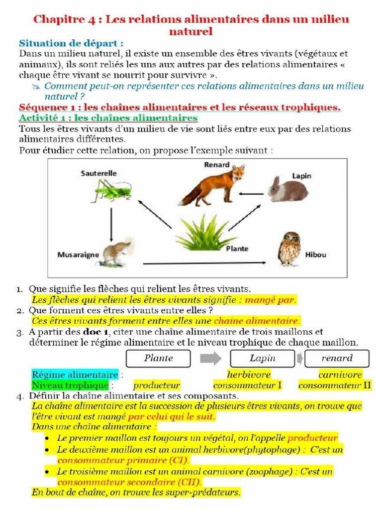 Chaîne Alimentaire | PDF