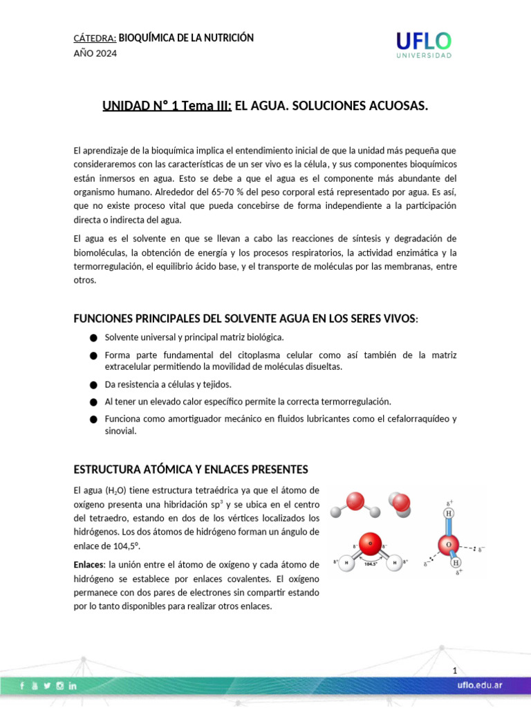 2024 Dosier de Cátedra - Unidad 1 (Parte 2) - Soluciones Acuosas y Concentración | PDF