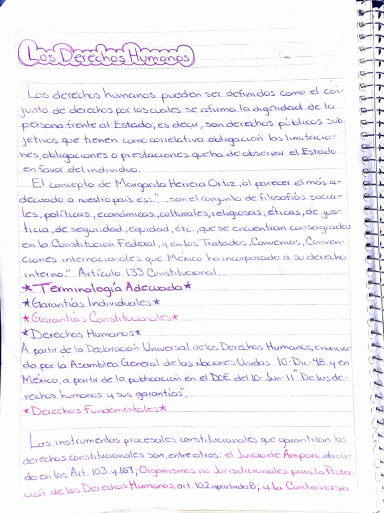 Derechos Humanos | PDF