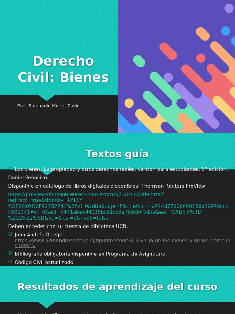 Presentación Bienes | PDF