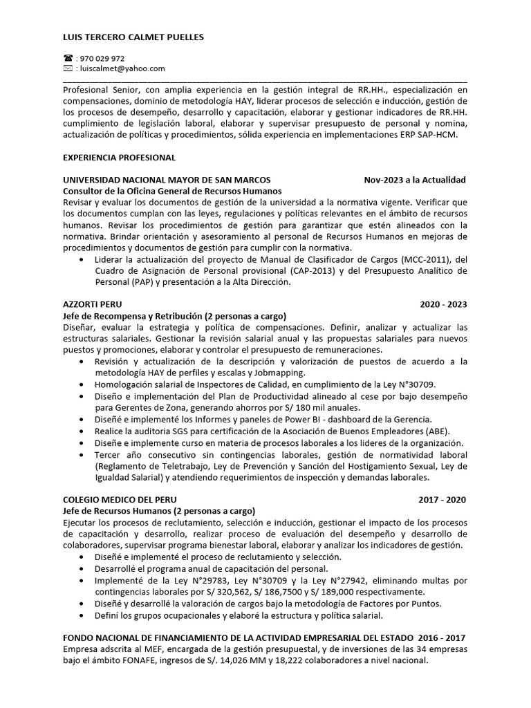 CV Luis Calmet Puelles 2024 | PDF