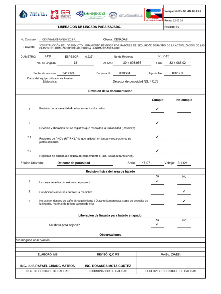 Formato Liberacion de Lingada para Bajado | PDF