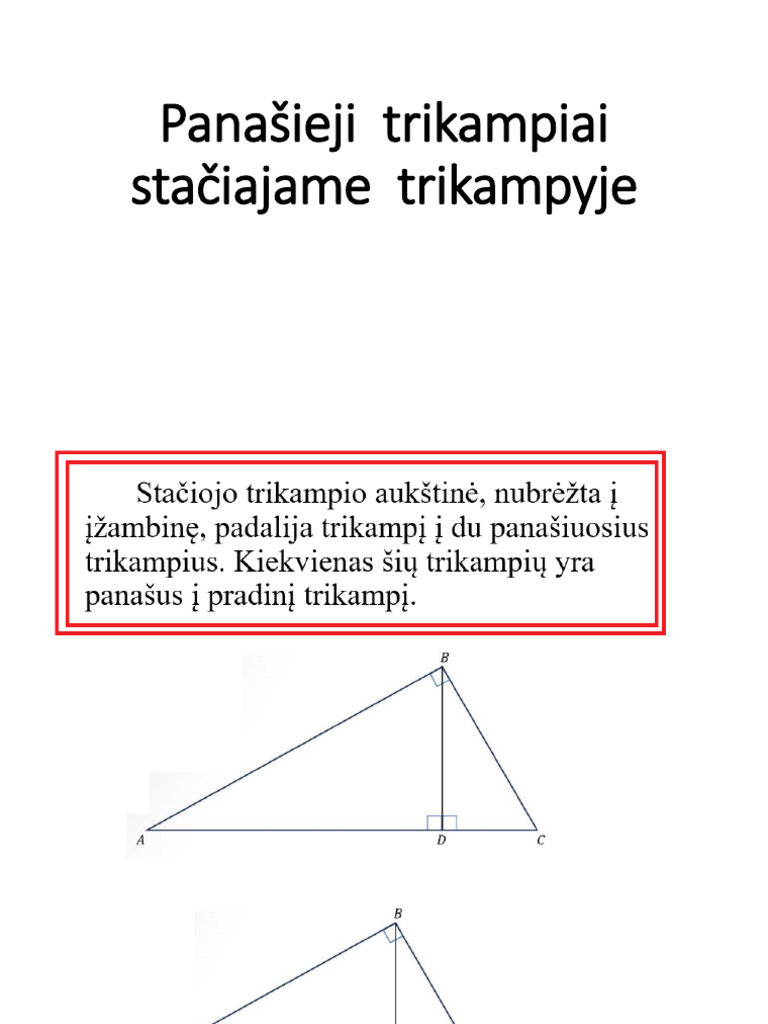 Panasieji Trikampiai Staciajame Trikampyje - 2024 - 9kl | PDF