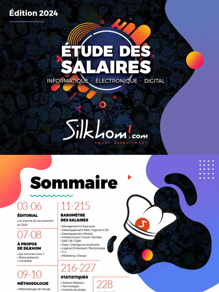 Silkhom Etude Des Salaires Informatique Electronique 2024 | PDF