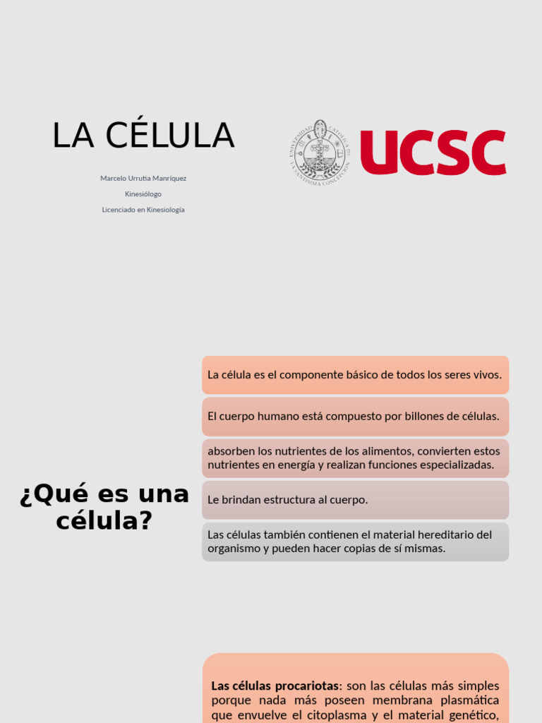 Clase 3 La Celula | PDF | Biología Celular) | Citoplasma