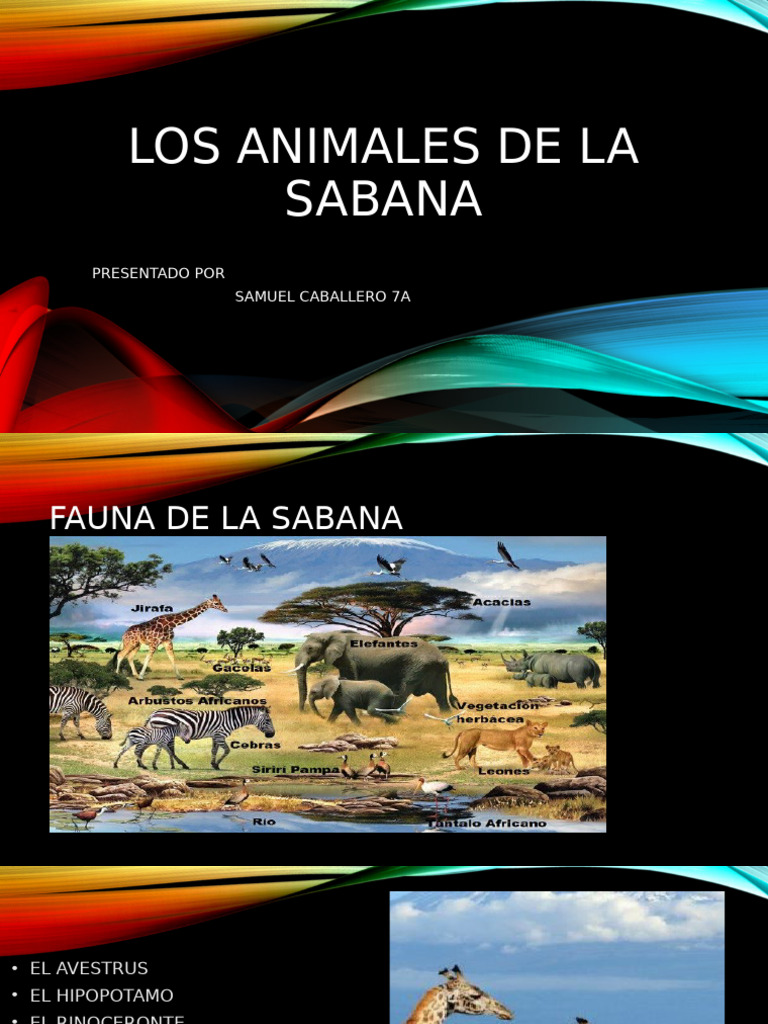 Los Animales de La Sabana | PDF