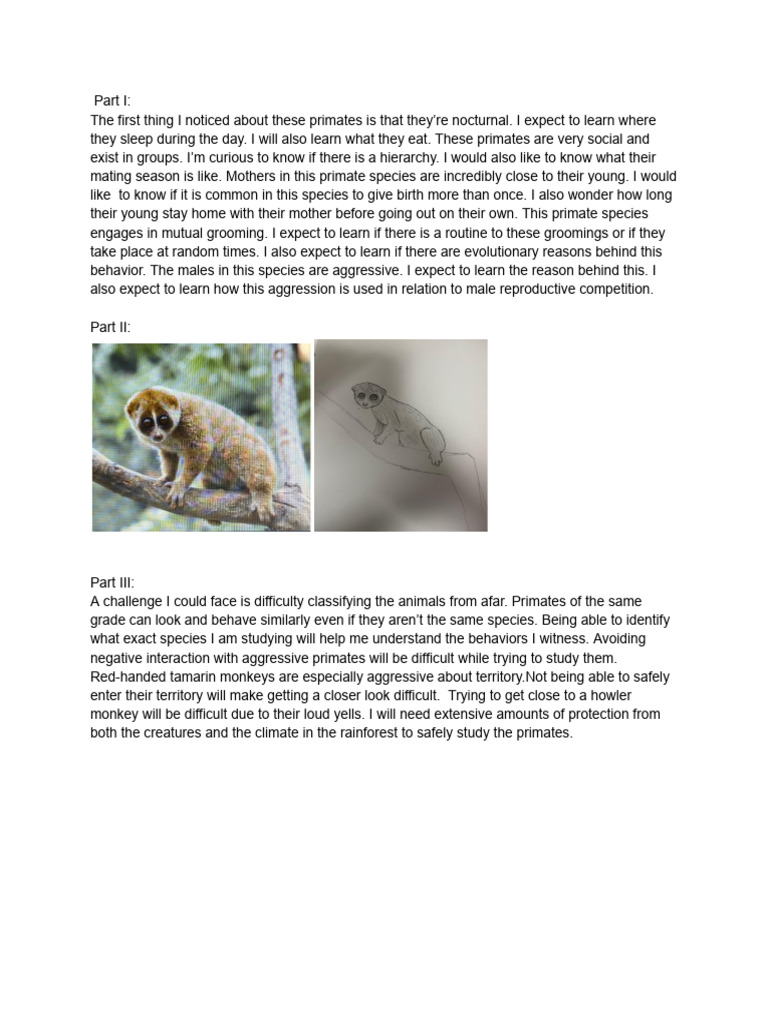 Primate Activity | PDF