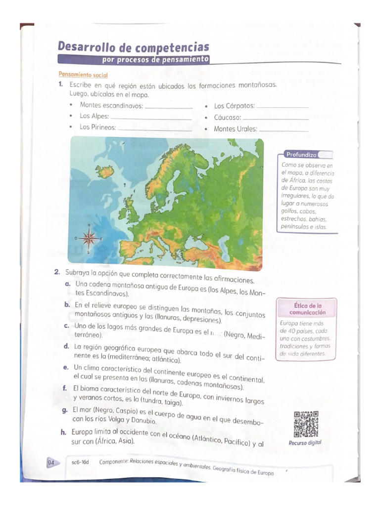 Desarrollo de Competencias | PDF