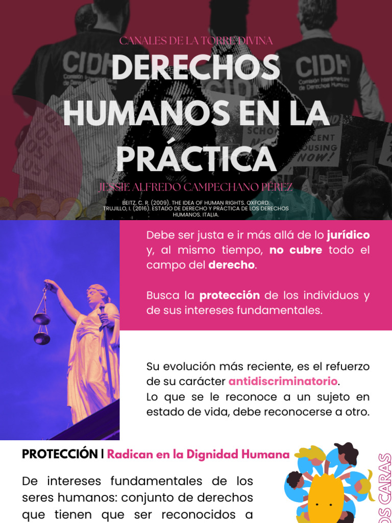 Derechos Humanos: Implementación y Eficacia | PDF | Derechos humanos ...