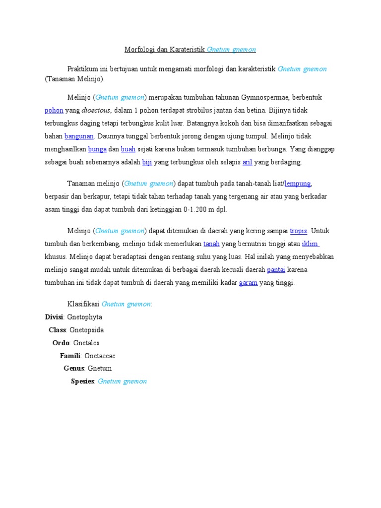 Menakjubkan 24+ Gambar Bunga Melinjo Jantan Dan Betina - Gambar Bunga Indah