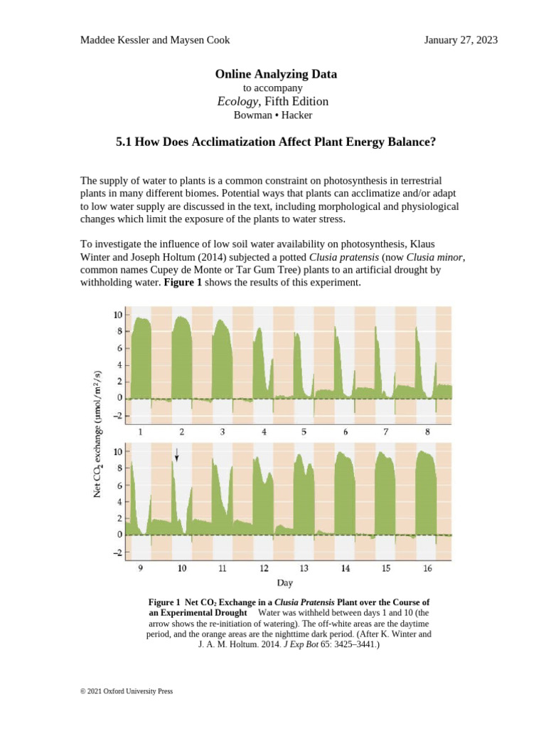 Daily Assignment 3 | PDF