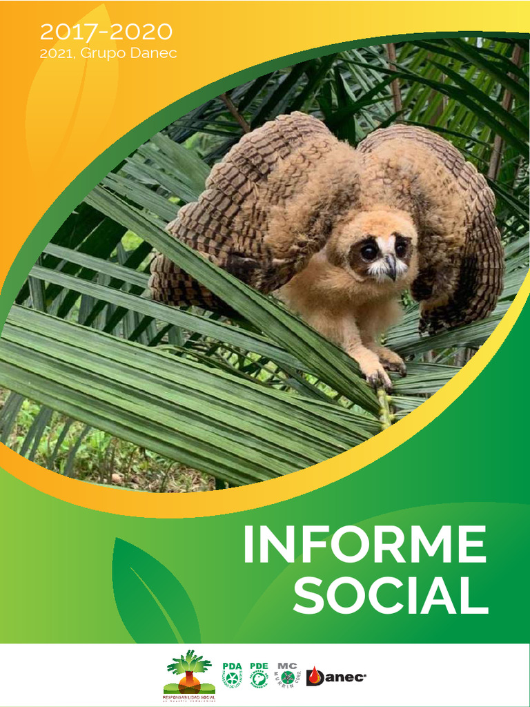 Informe Social 2017 2020 Danec | PDF