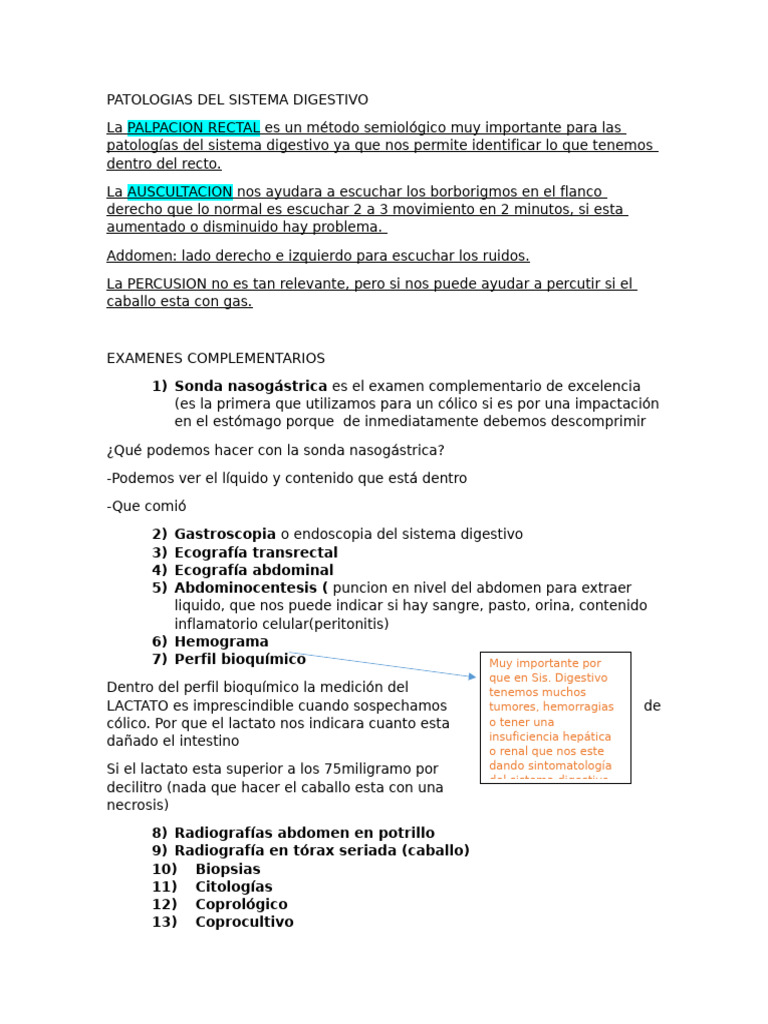 Equino, Sistema Digestivo Boca y Esofago | PDF