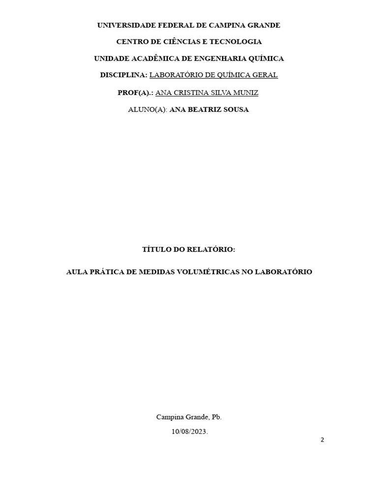 modelo_relatorio - Documentos Google | PDF