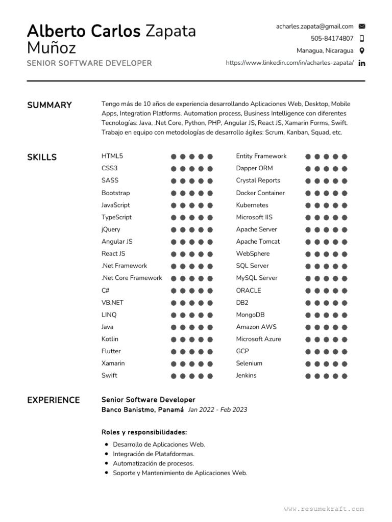 CV - Alberto Zapata | PDF