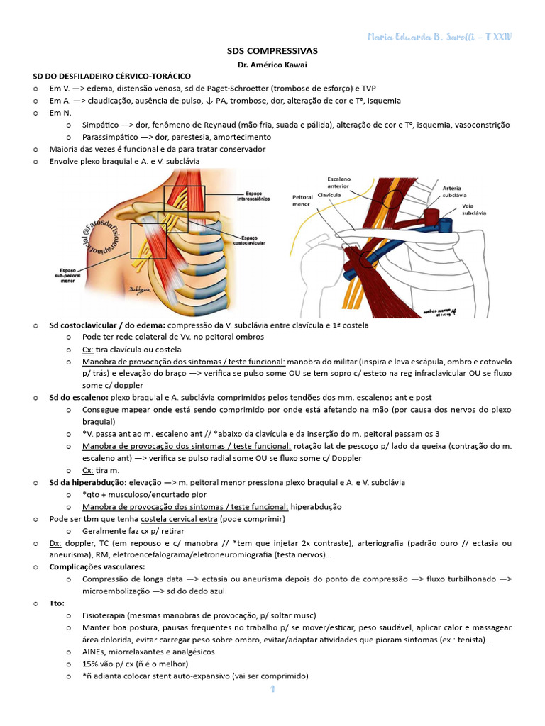 p2 Angiologia e CX Vascular - Maria Eduarda B. Sarolli | PDF
