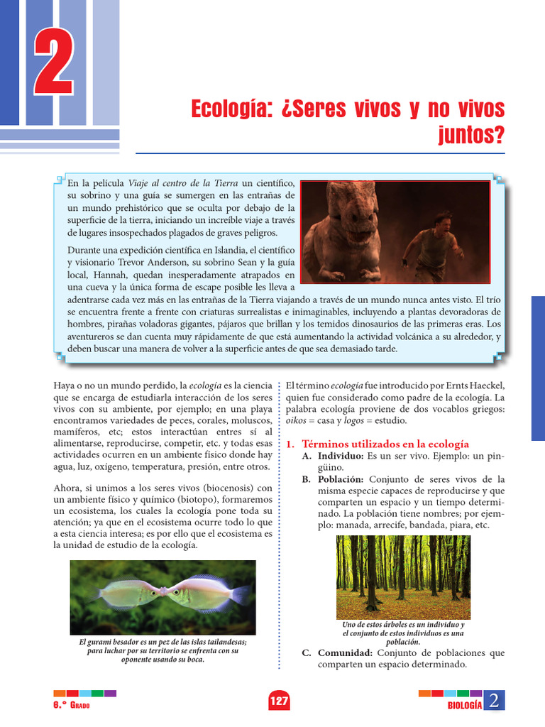 Ecología: ¿Seres Vivos y No Vivos Juntos?: Viaje Al Centro de La Tierra ...