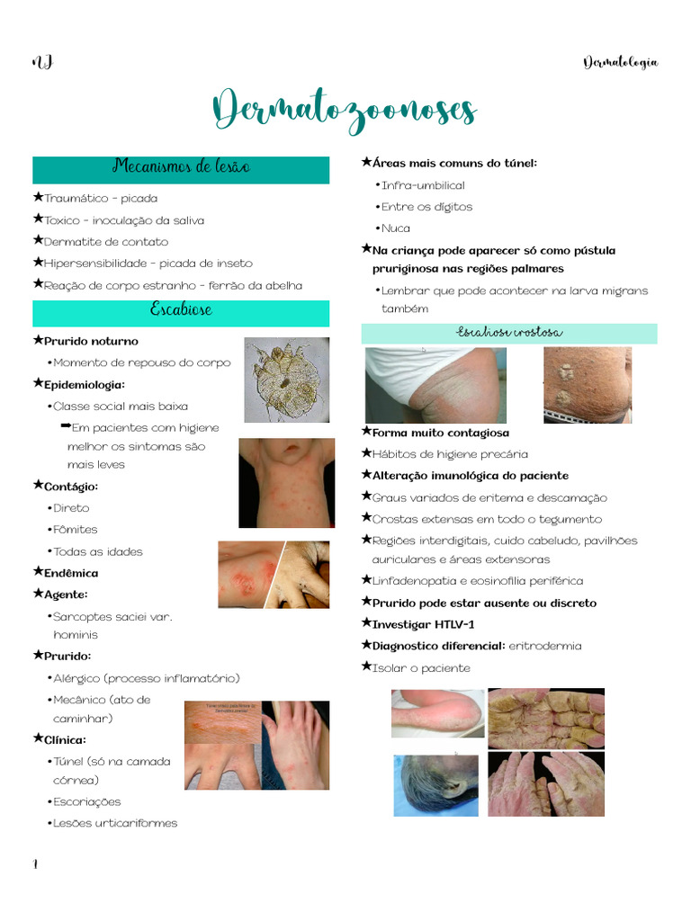 Derma to Zoo Noses | PDF