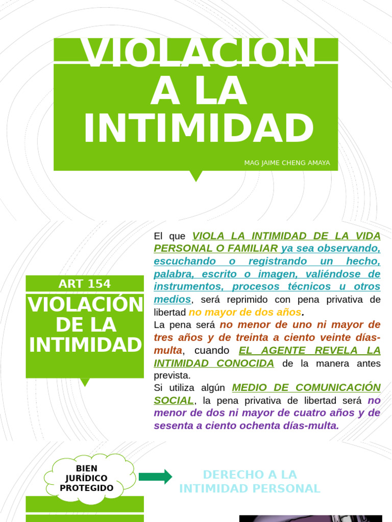 Violación A La Intimidad | PDF