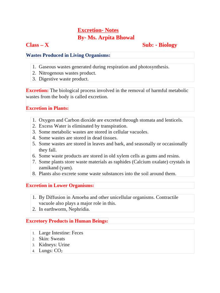 Life Processes - Excretion | PDF