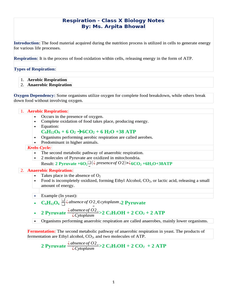 Life Processes - Respiration | PDF