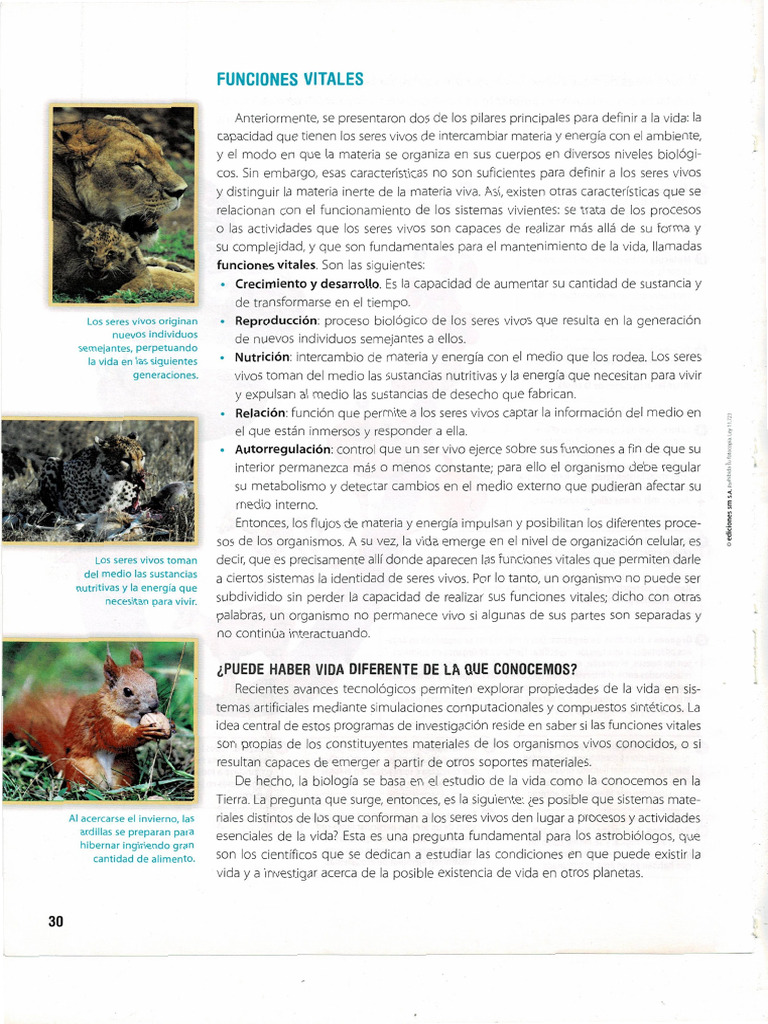 Funciones de Los Seres Vivos IFEI | PDF