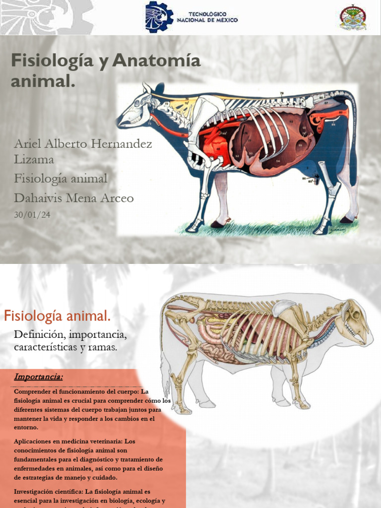 Fisiología y Anatomía Animal | PDF