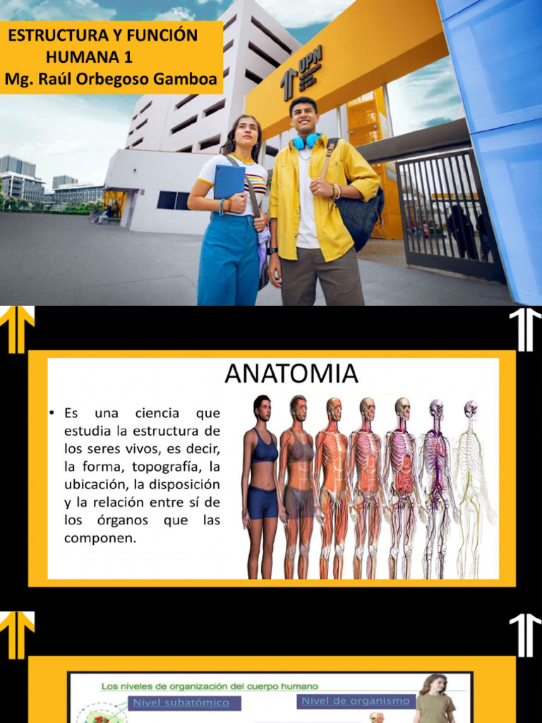Upn PPT Semana 01 | PDF