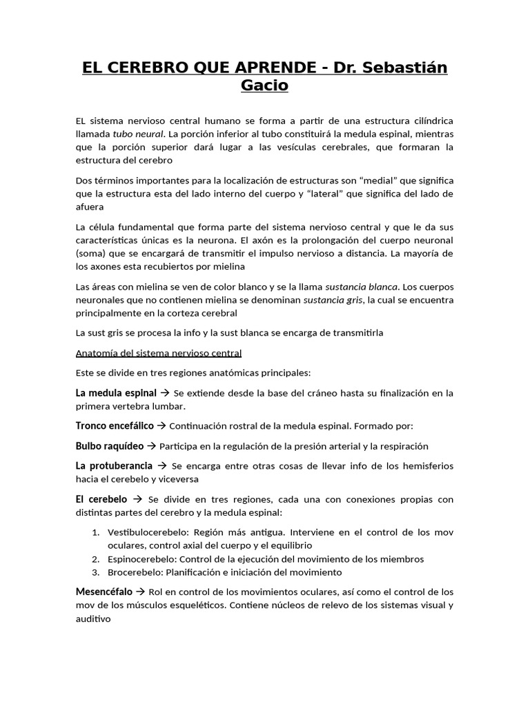 El Cerebro Que Aprende Resumen Pdf