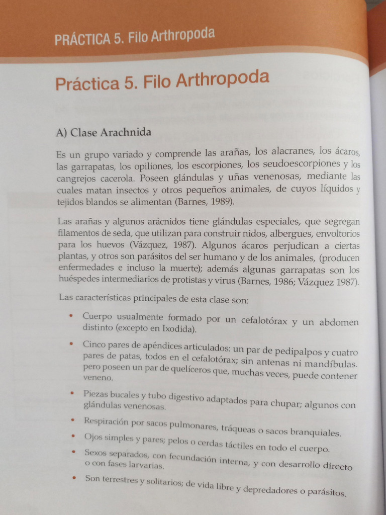 Lab Biolo - Filo Arthropoda | PDF