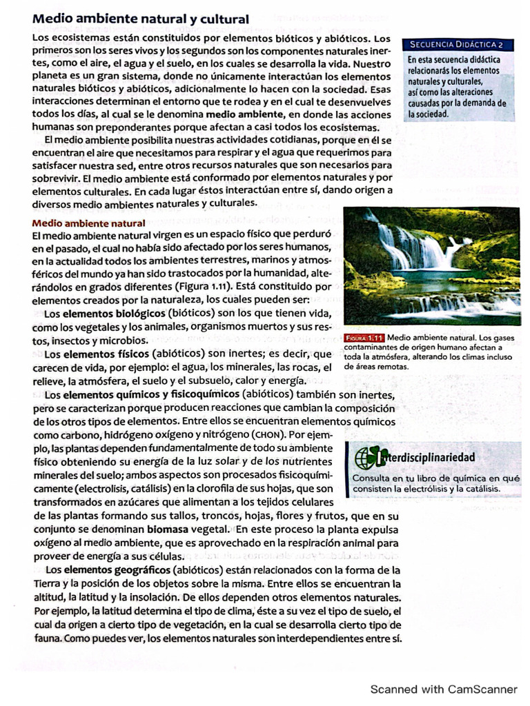 Ambiente Cultural | PDF