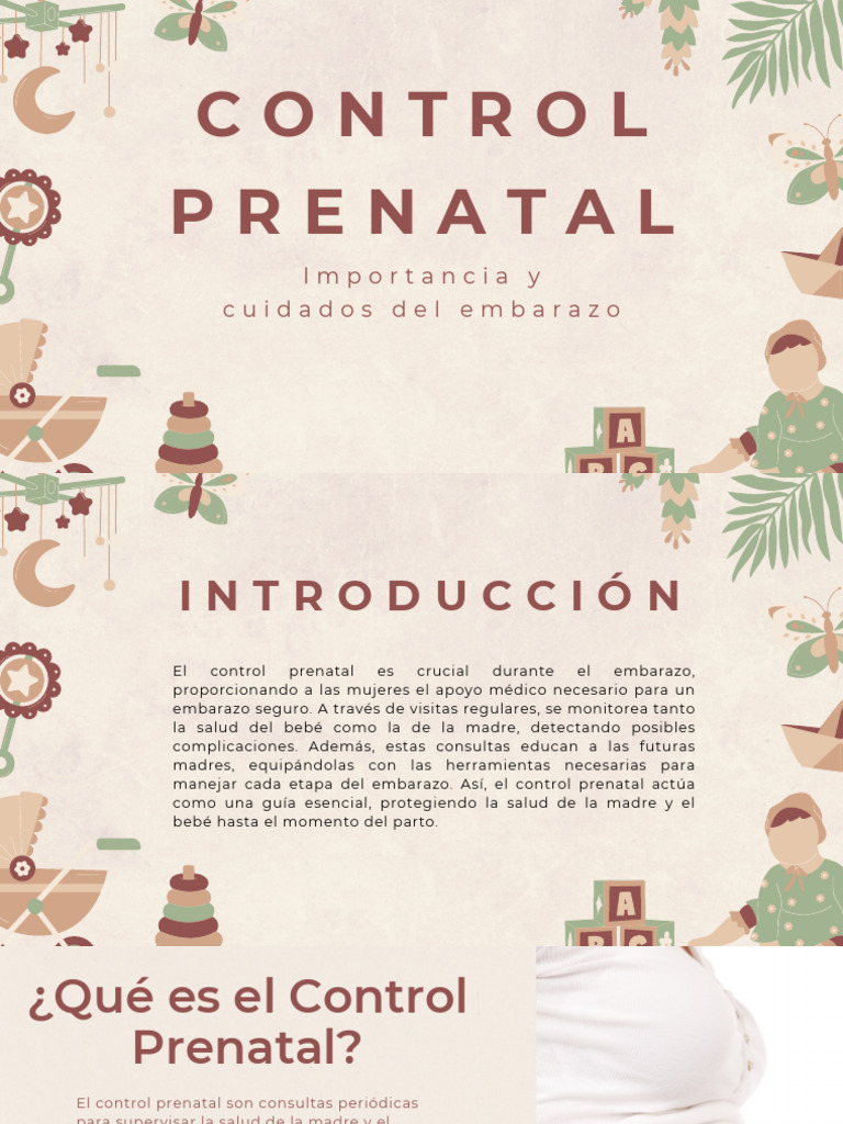 Control Prenatal | PDF