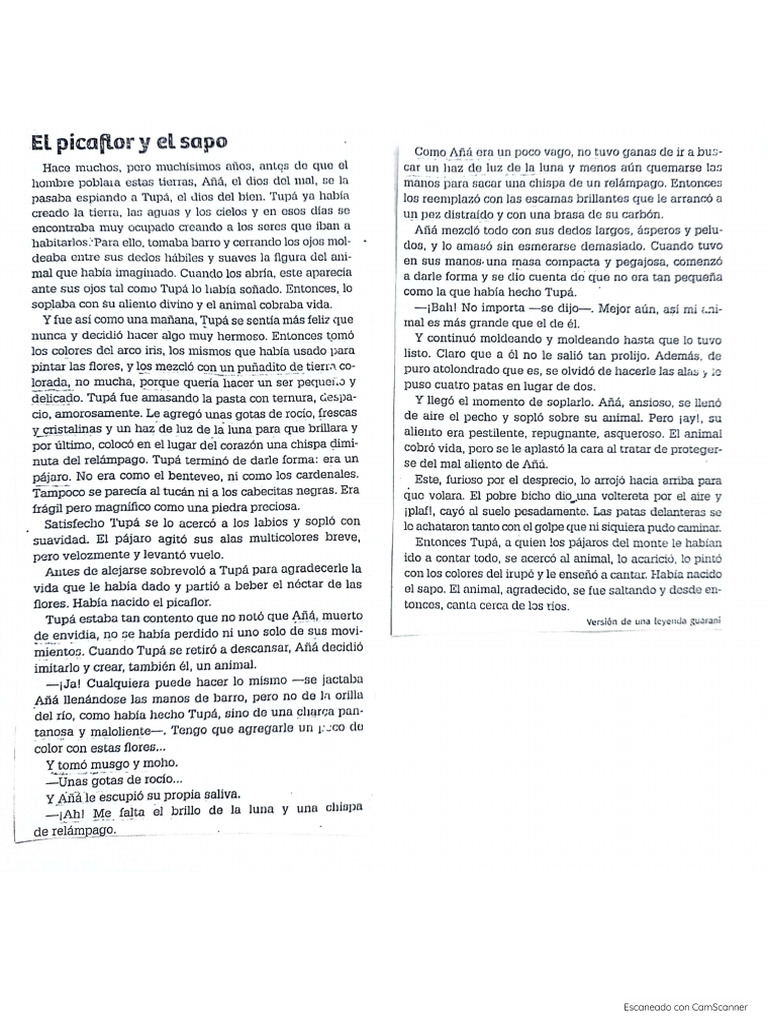 PCP Prácticas Del Lenguaje - 13 - 3 | PDF