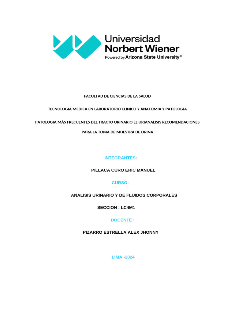 Eric Manuel Pillaca C | PDF