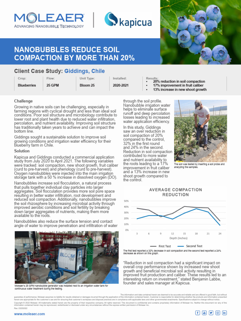 Blueberry - Giddings Case Study - English (email) | PDF