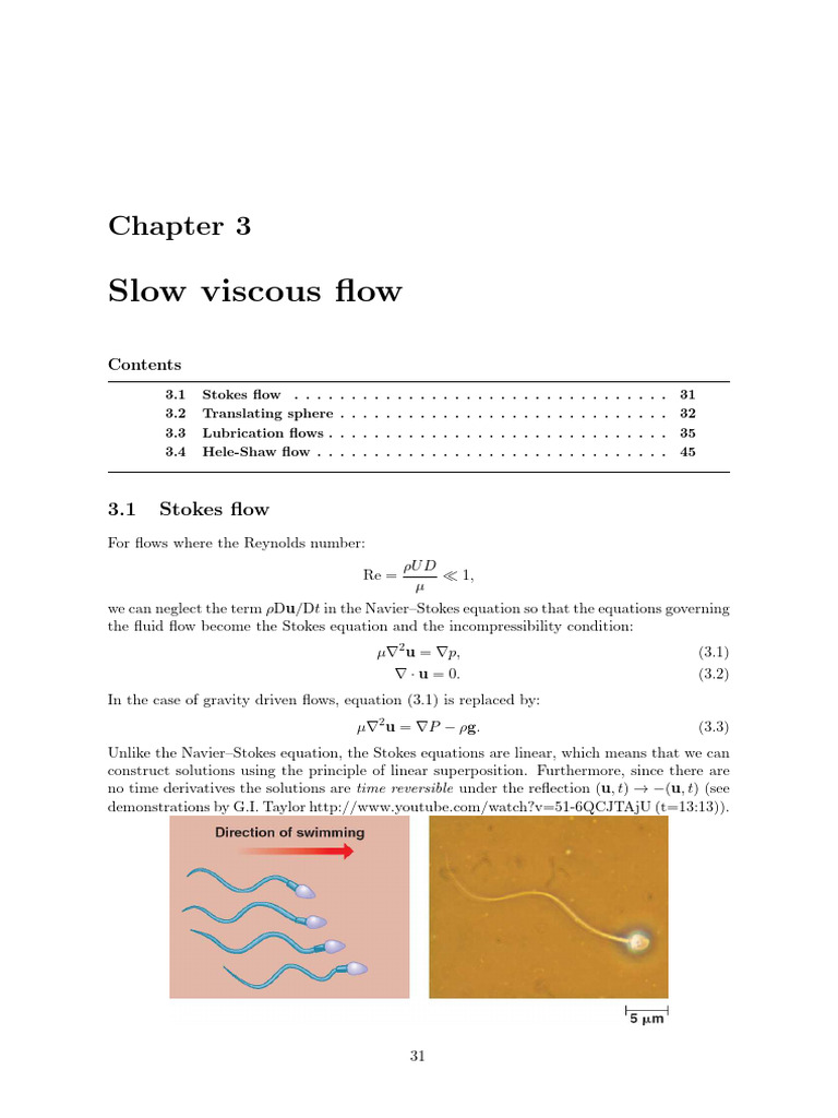 Beaume chp3 | PDF | Navier–Stokes Equations | Fluid Dynamics