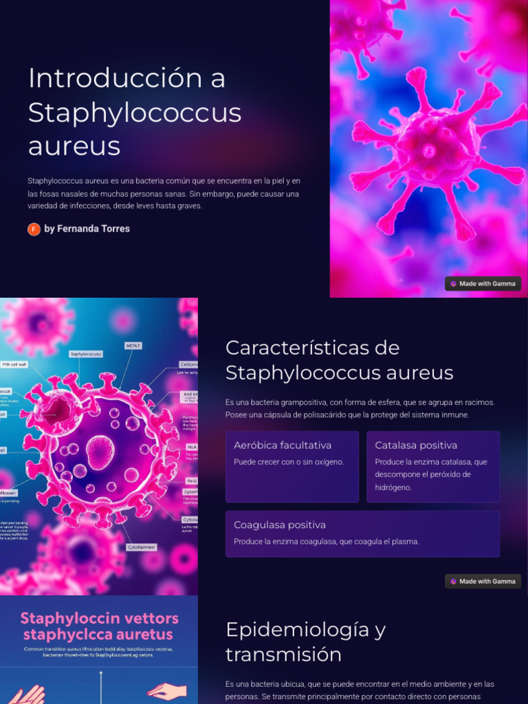 Introduccion A Staphylococcus Aureus | PDF