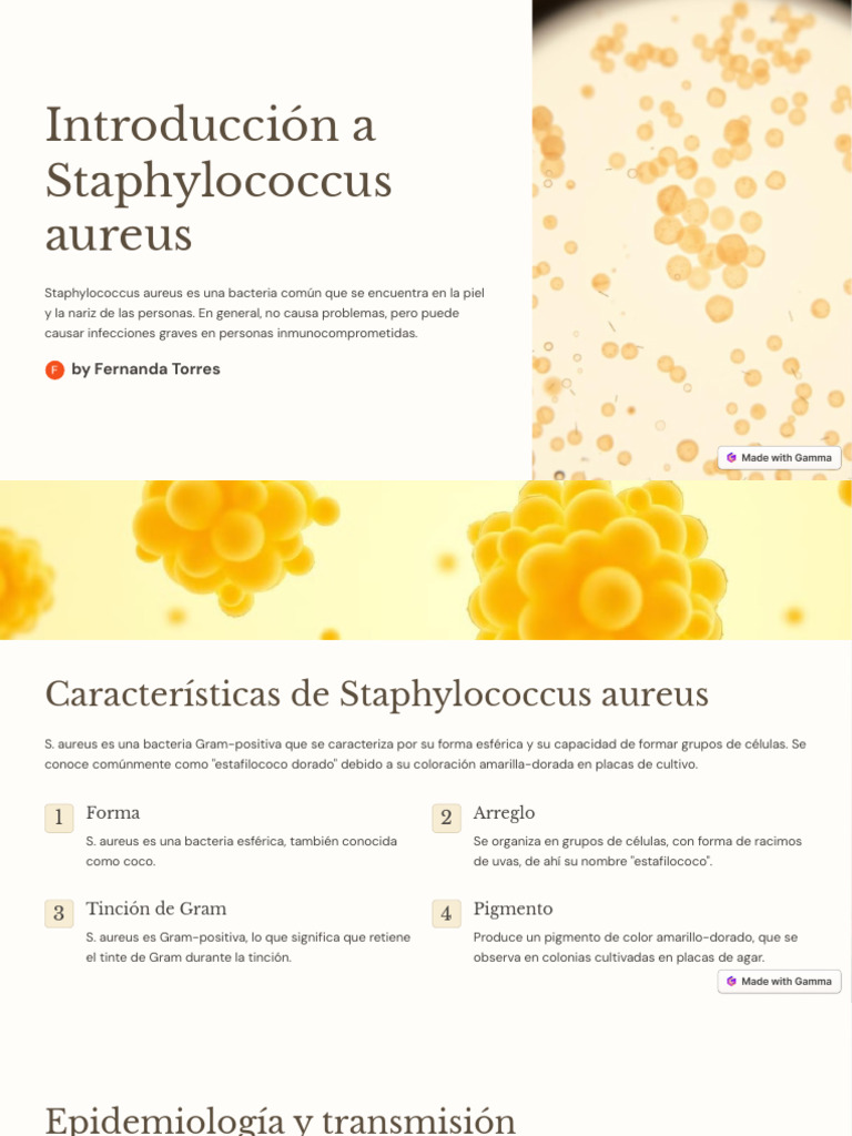 Introduccion a Staphylococcus Aureus | PDF