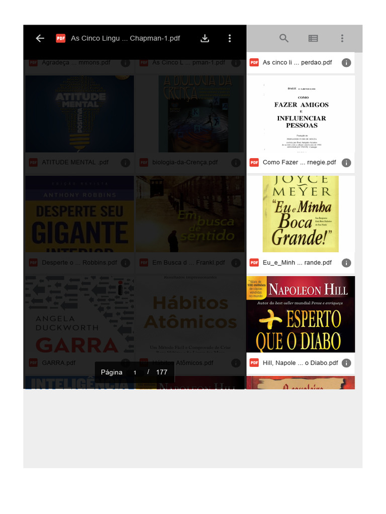 Livros PDF - Google Drive | PDF