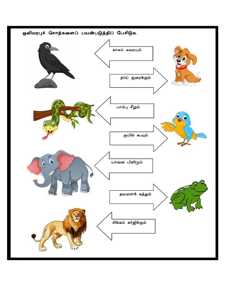 Anba BT | PDF