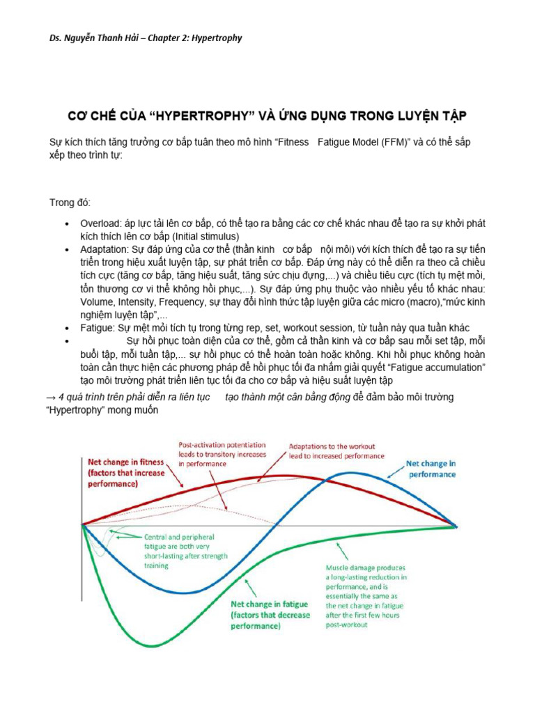 Hypertrophy | PDF