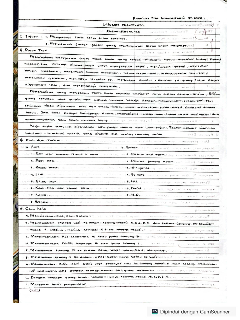 Enzim Katalase | PDF