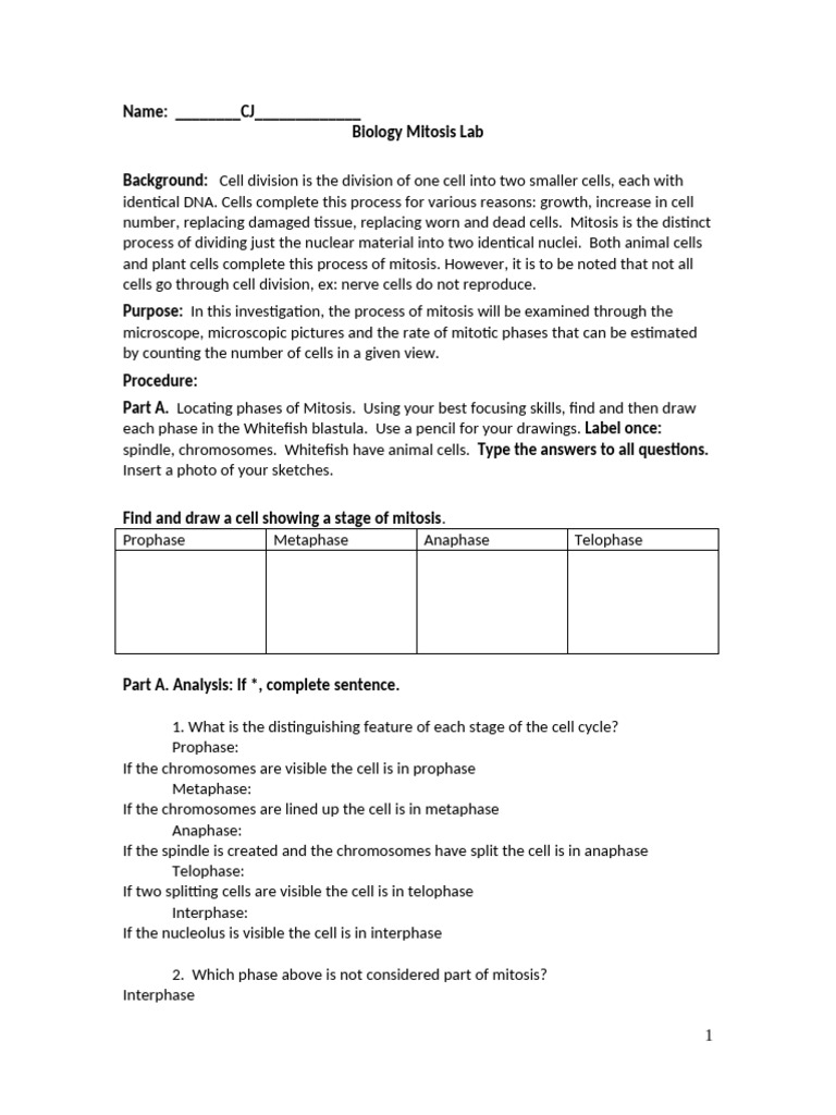 RWS Biology Mitosis Microscope and Online Lab | PDF