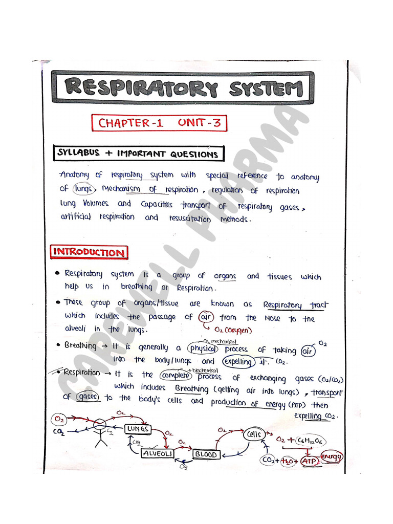 Unit 3, Human Anatomy and Physiology 2, B Pharmacy 2nd Sem, Carewell ...