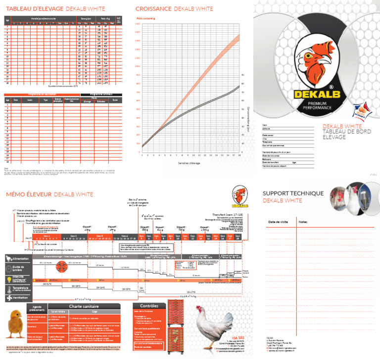 Fiche Elevage Dekalb White | PDF