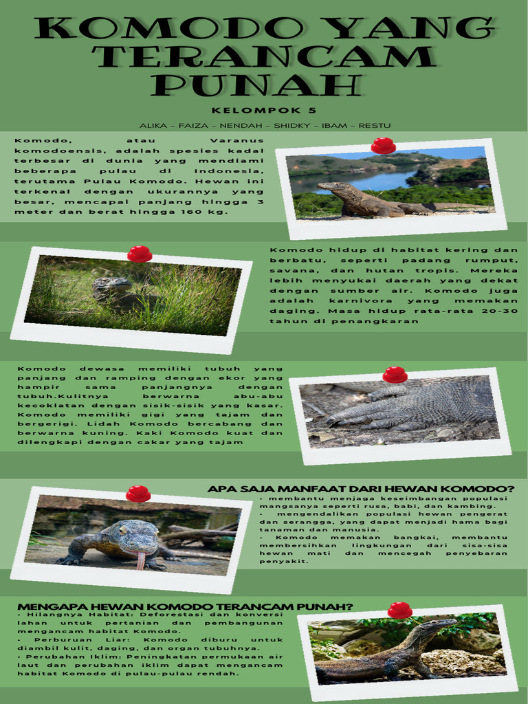 Infografis Komodo Yang Terancam Punah | PDF
