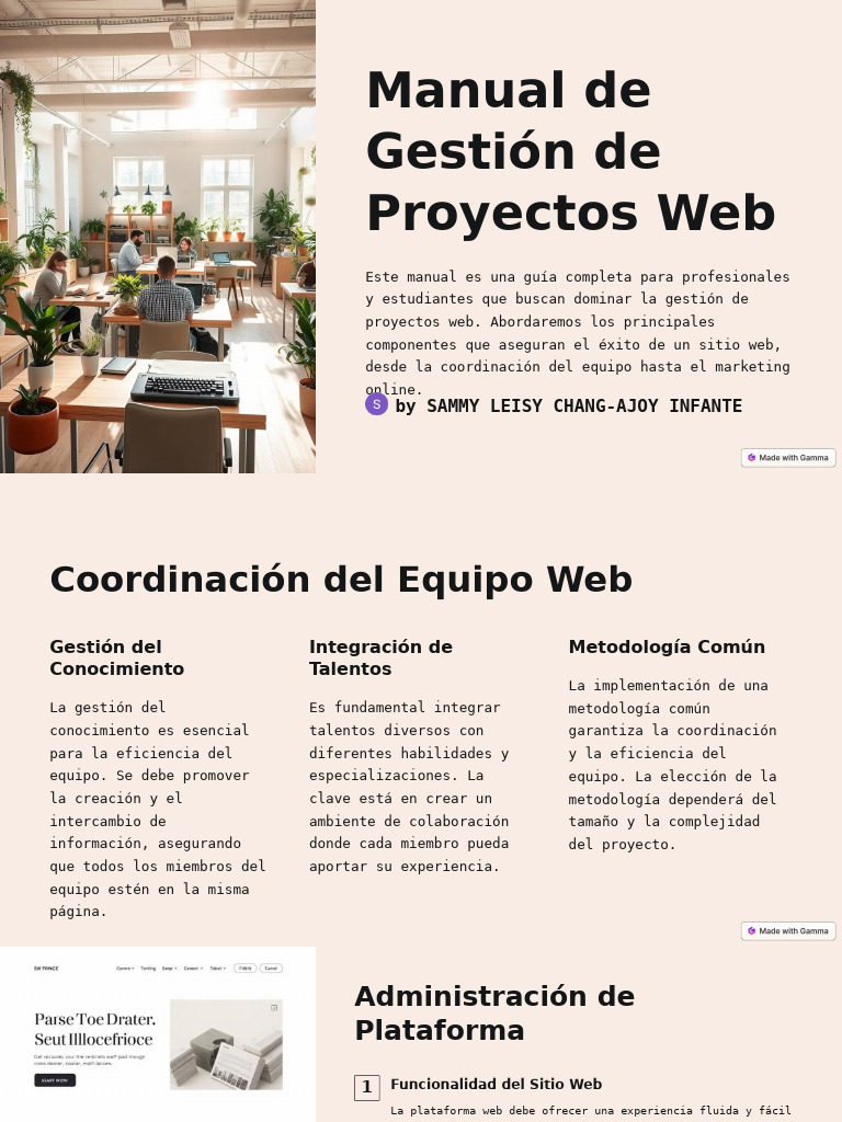 Manual de Gestion de Proyectos Web | PDF