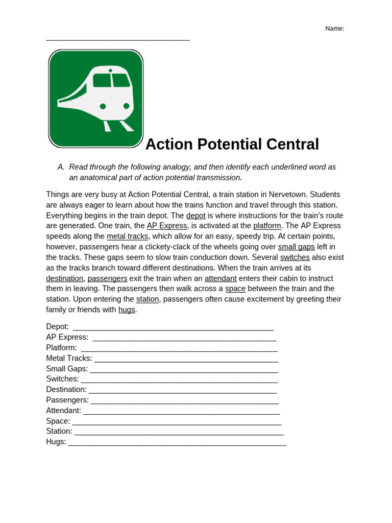 Action Potential Central Student Sheets | PDF | Chemical Synapse ...