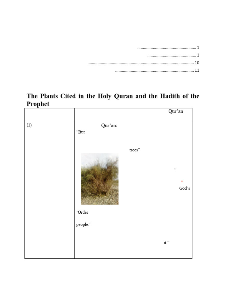 The Names of Plants Cited in The Holy Quran and The Sunnah | PDF ...
