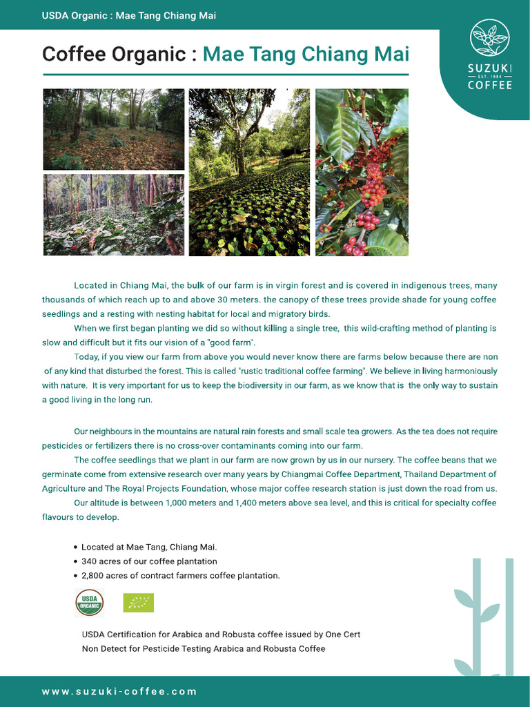 Coffee Organic Mae Tang Chiang Mai | PDF